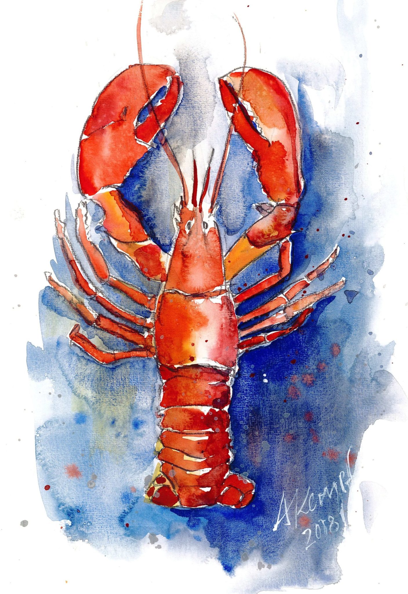 Hummer - Küstenblicke